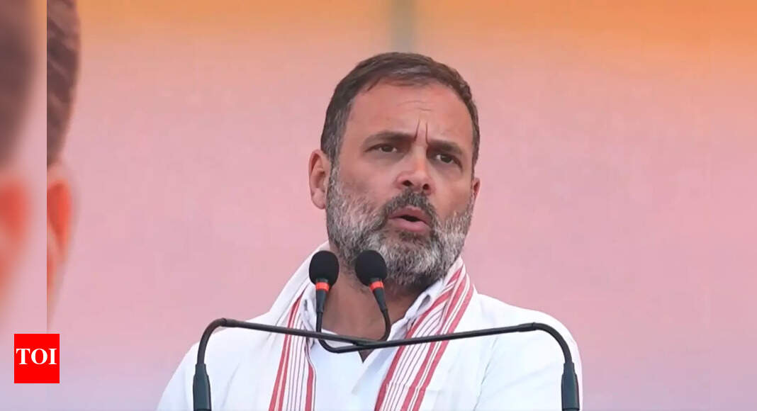 Bharat Jodo Nyay Yatra: Rahul Gandhi takes break from Bharat Jodo Nyay ...