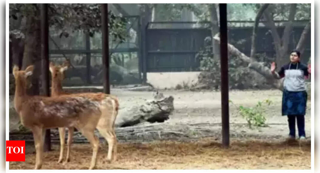 Tender to be floated for exhibits of exotic animals - Byculla zoo ...