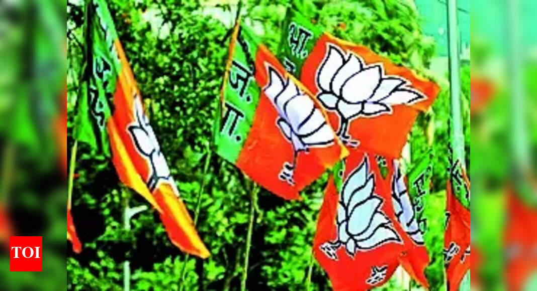 BJP: Bjp’s Receipts In 2022-23 Up By 23% To ₹2,361cr | Delhi News ...