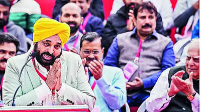 Centre Holding Punjab’s 5.5k Cr Rdf: Mann At Jantar Mantar Stir | Chandigarh News - Times of India