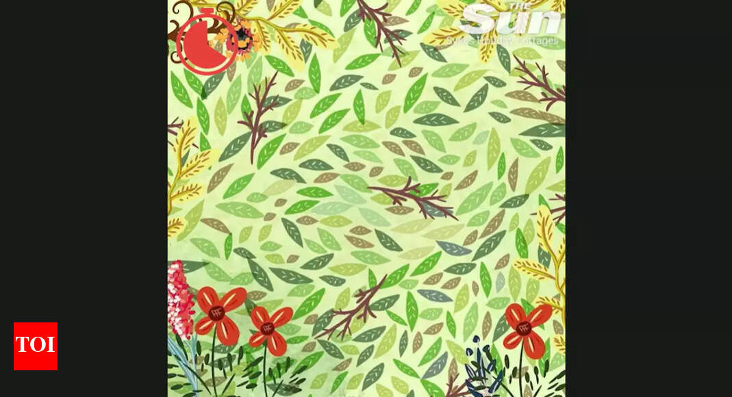 Optical Illusion: Can you spot a beetle in this image in under 6 ...