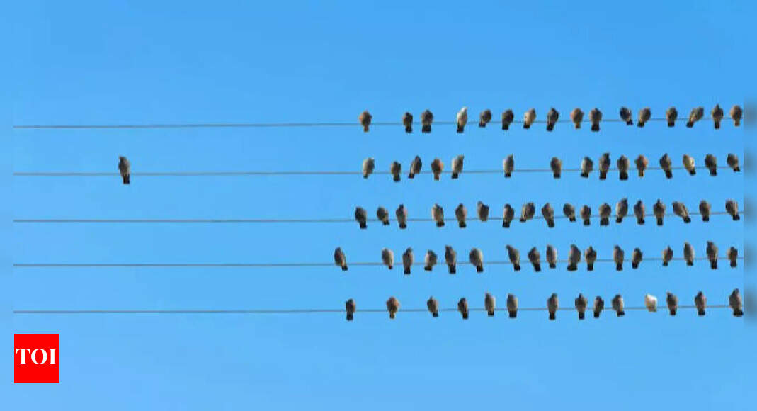 Understanding the Difference between Loner and Lonely | Article | - The ...