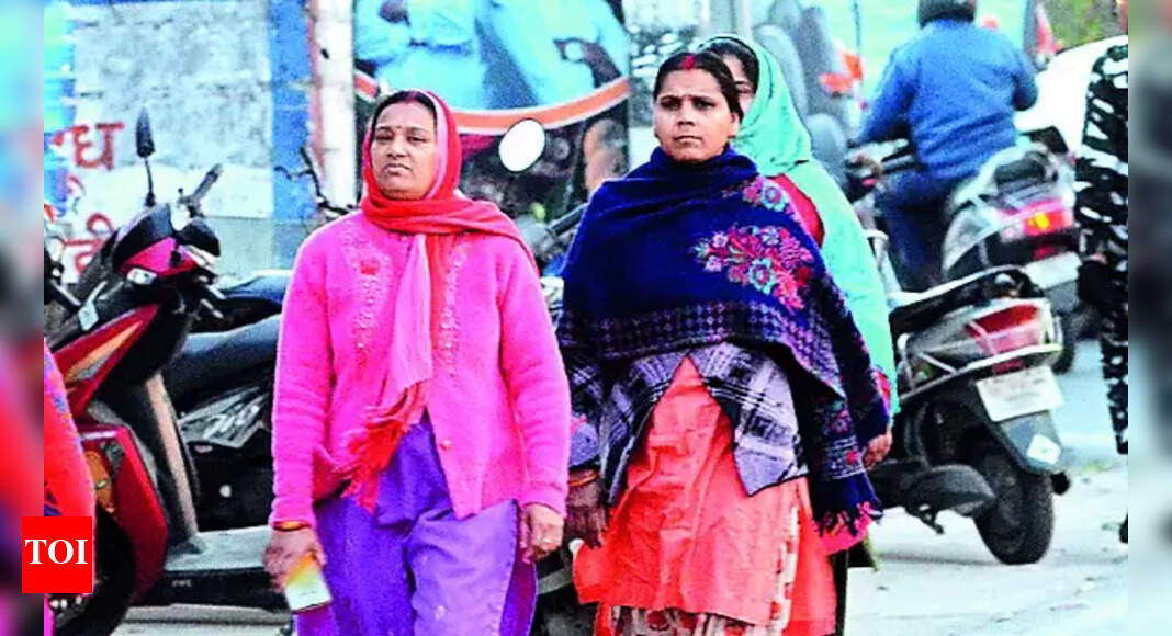 Rain: Rain In Isolated Parts Of State Likely From Feb 12 Till 15: Imd ...