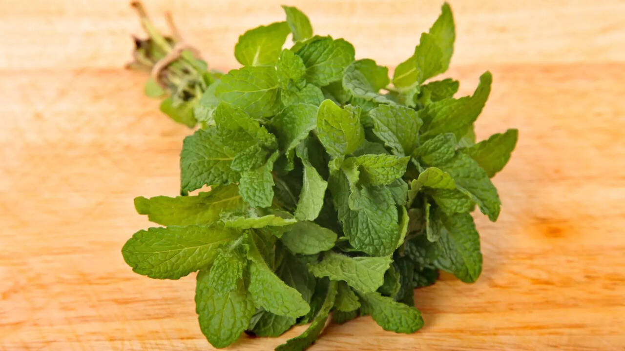 Mint Leaves Marvels: 10 Incredible Health Advantages You Need To Know