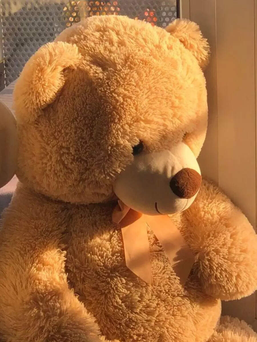 DIY Gifts To Give Your Partner This Teddy Day | Zoom TV
