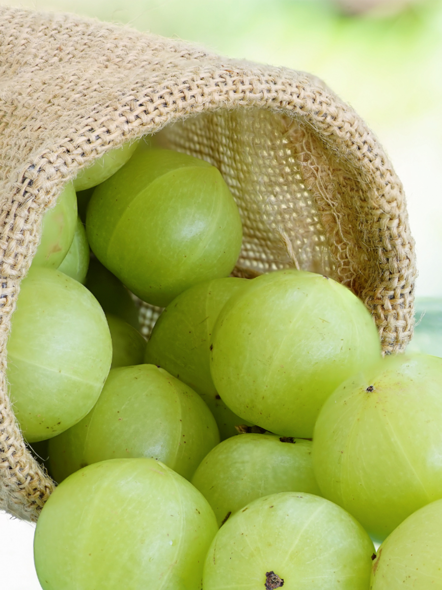 9 Ways To Eat Amla As Per Ayurveda | Times Now