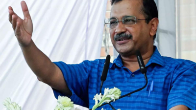 AAP to declare candidates for all 13 Lok Sabha seats in Punjab, one in ...