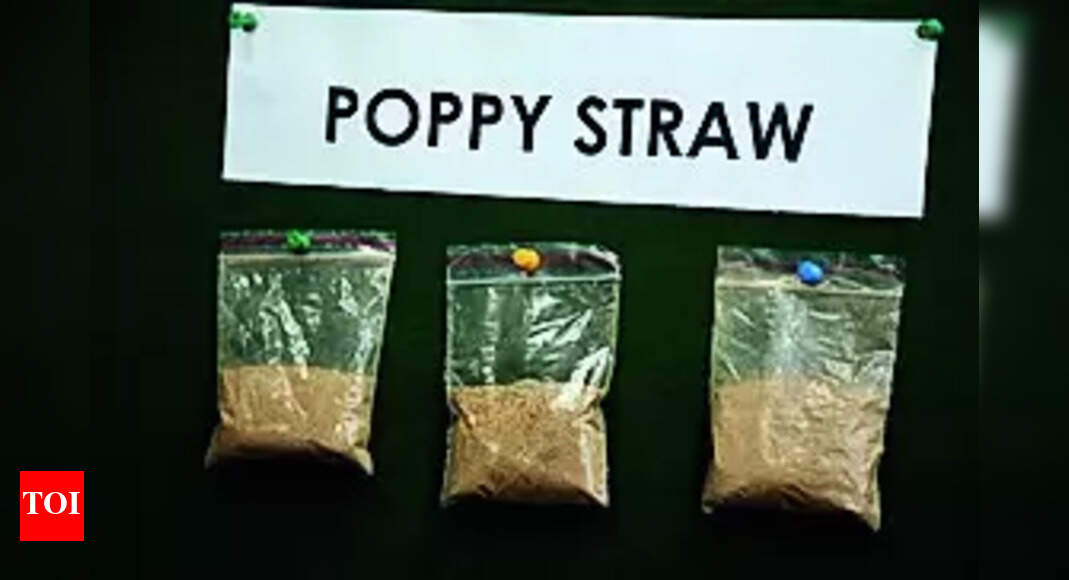 Poppy Straw Seized: 1800kg Poppy Straw Seized in Indore: Anti-Drug ...
