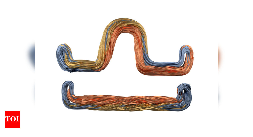 Understanding the flaws of the Libra Zodiac sign - The Times of India