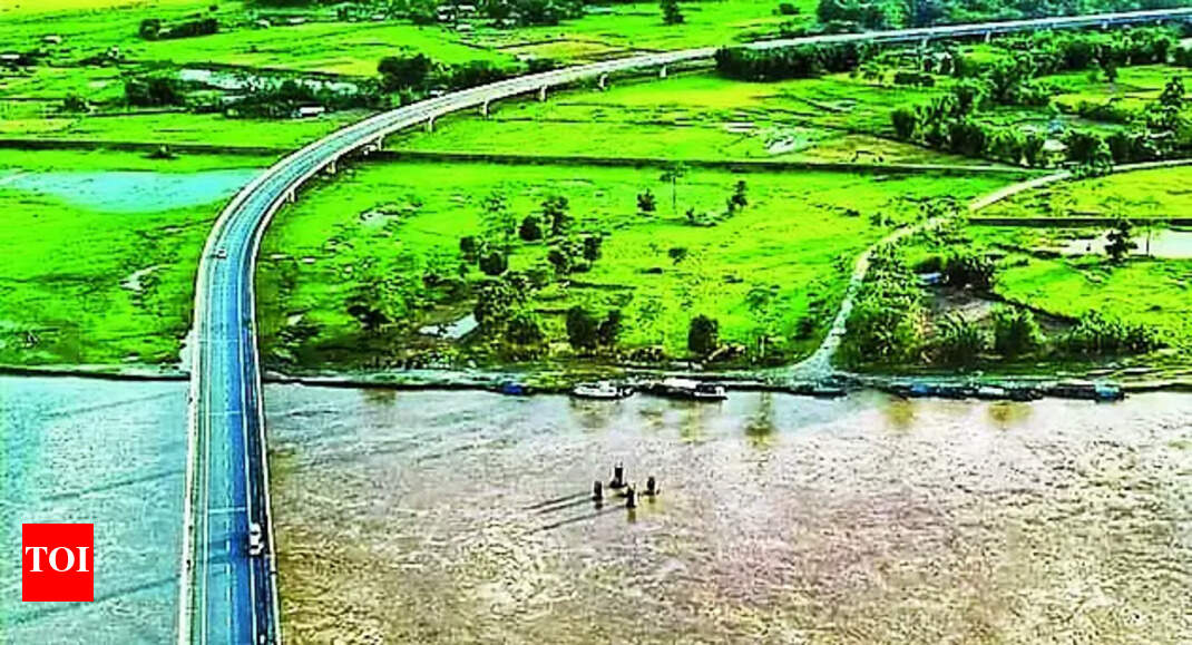 Dhola-Sadiya Bridge: Dhola-Sadiya Bridge to Get Solar Lights: Enhancing ...