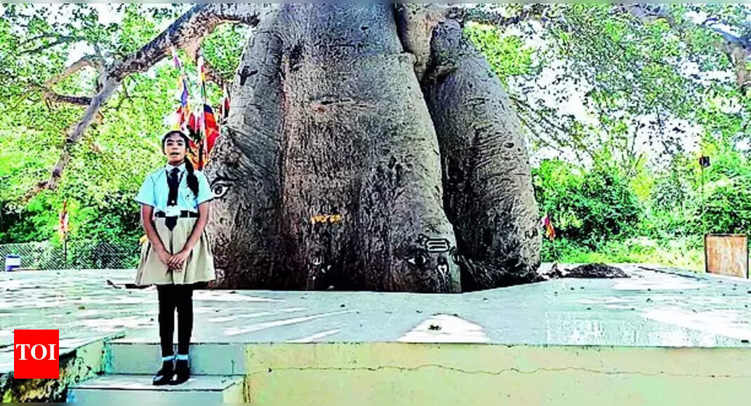 Baobab Tree: Award-Winning Kids Film on Baobab Tree in Vadodara ...
