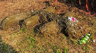 Worshipping the Crocodile: An Age-Old Ritual along the Zuari River ...