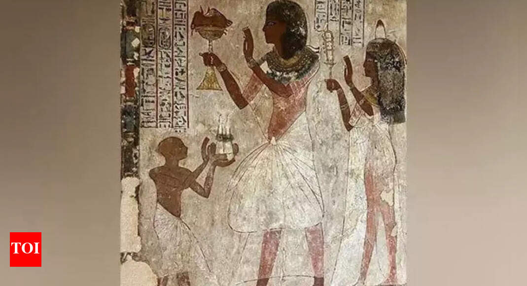 Ancient Egyptian tomb of Neferhotep opens to public after decades of ...