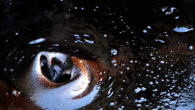 La Mancha Negra: The Mysterious Black Goo Terrorizing the Streets of ...