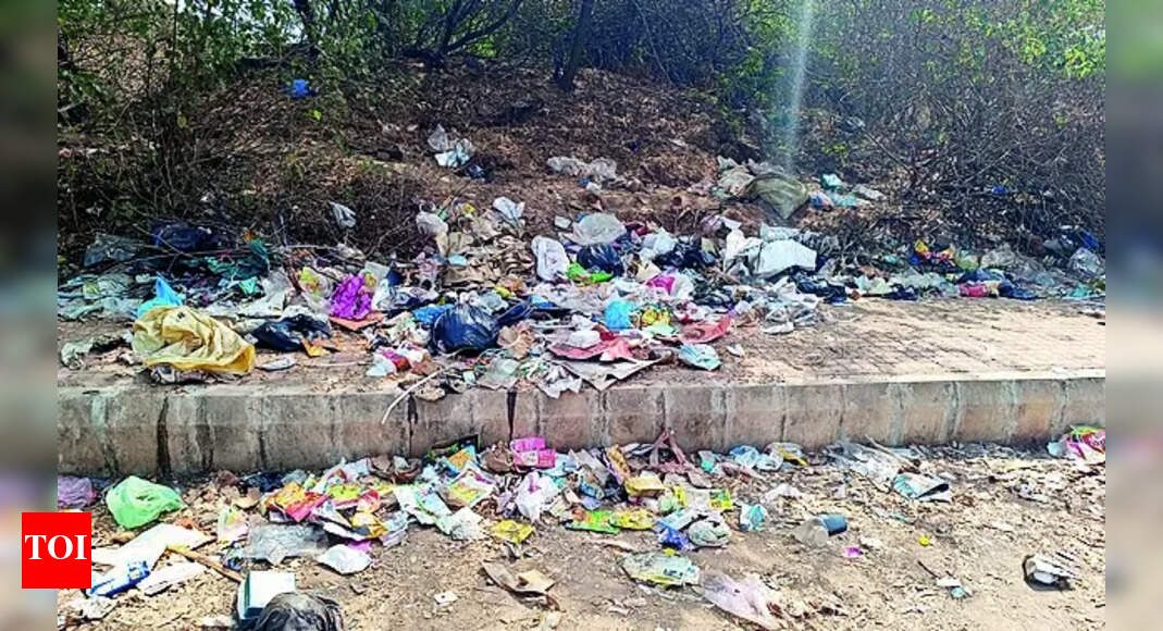 HDMC Ward No. 48: Layouts: Lack of Basic Amenities and Apathy in HDMC ...