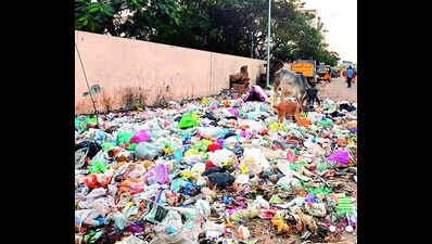 Uncleared Garbage: Uncleared Garbage Raises Concerns in Ukkadam Colony ...