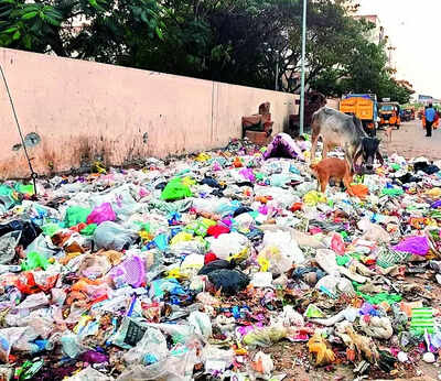 Uncleared Garbage: Uncleared Garbage Raises Concerns in Ukkadam Colony ...
