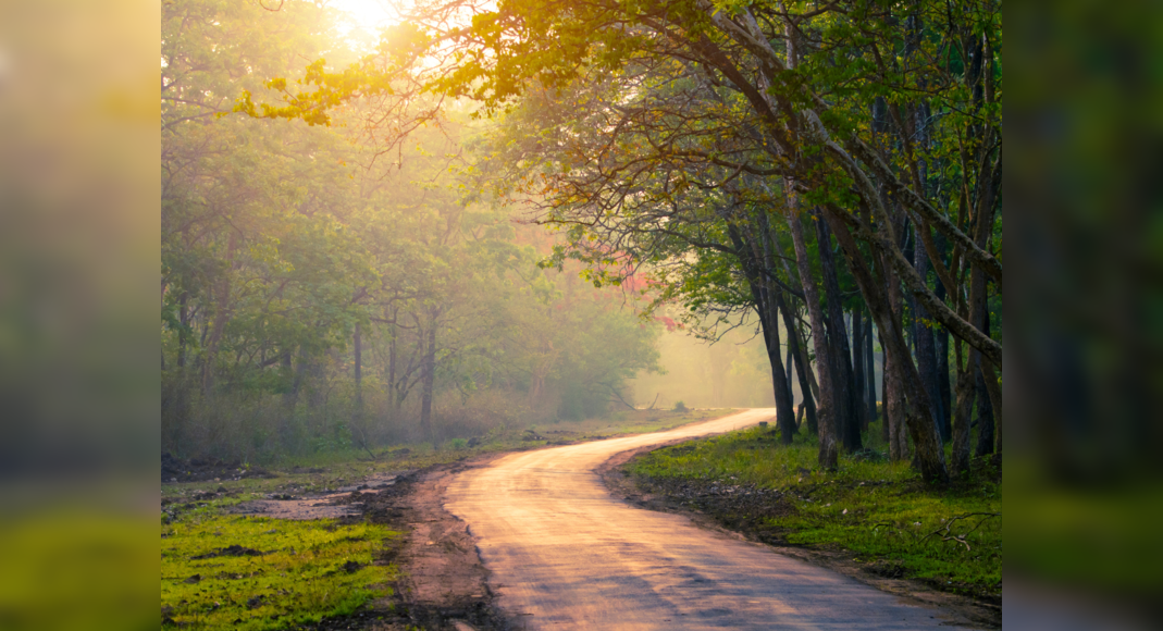 Gupteswar Forest: Odisha's Gupteswar Forest declared the state’s 4th ...