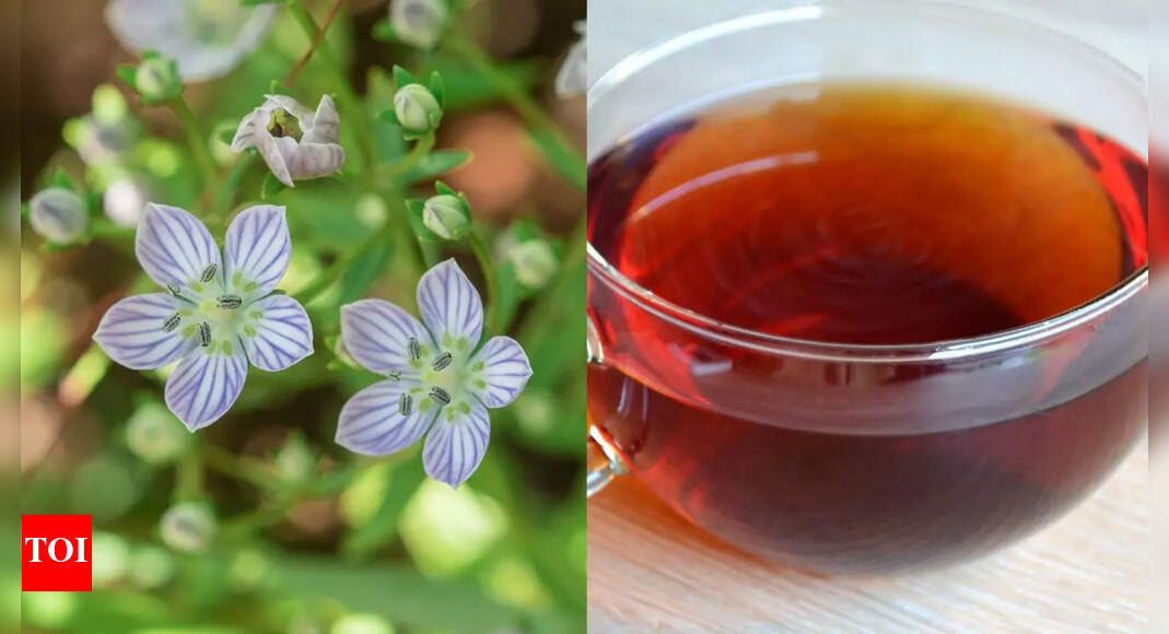 What is Chiraita? Discover the Health Benefits of this Ancient ...