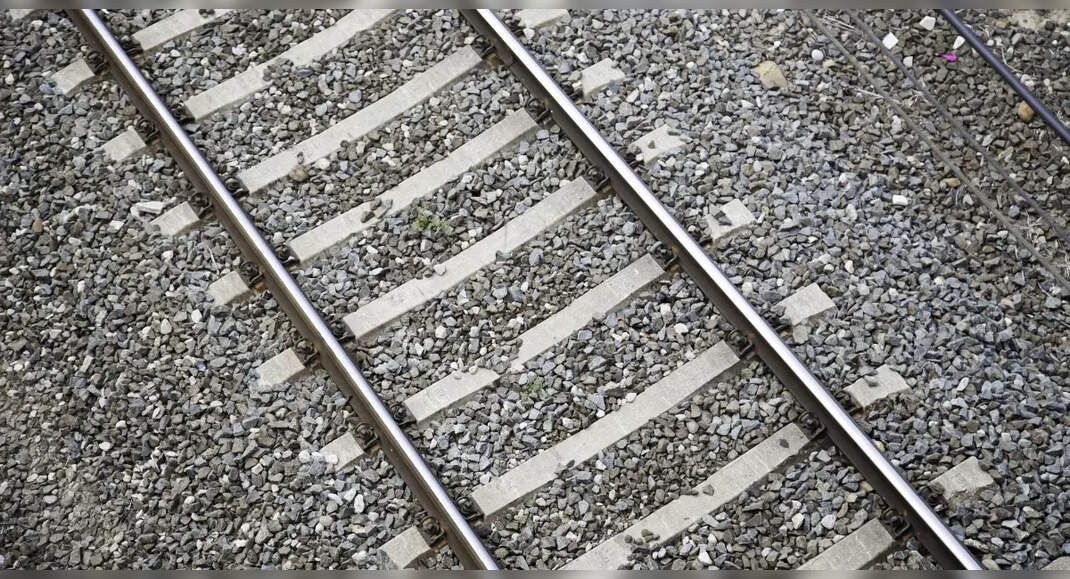 Bullet Train: Railway Minister shares a video of Bullet train that will ...