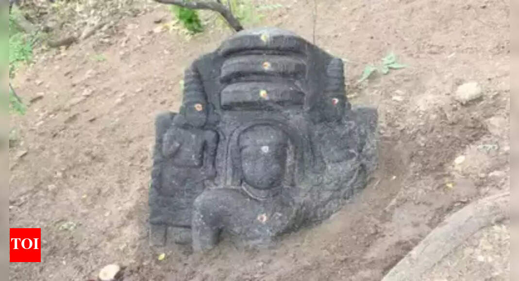 Rare and ancient Mahavir statue found in Tamil Nadu | - Times of India