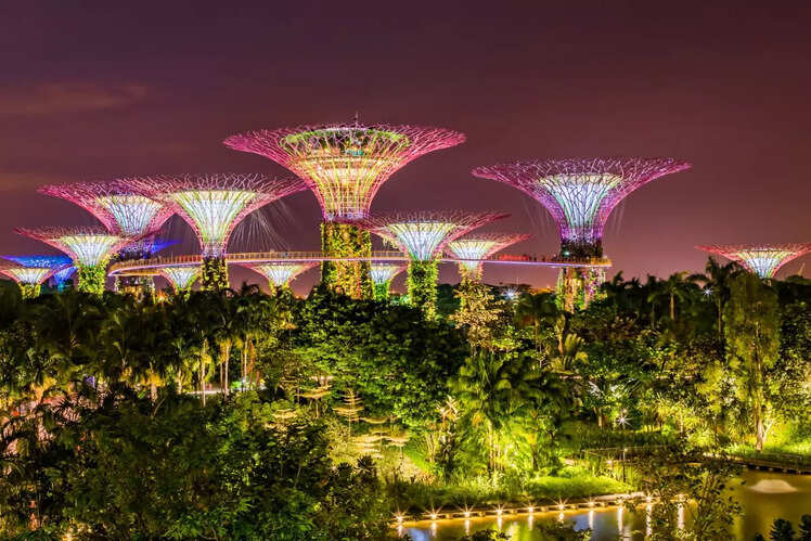 Singapore's beautiful places: Explore the magic | Times of India Travel