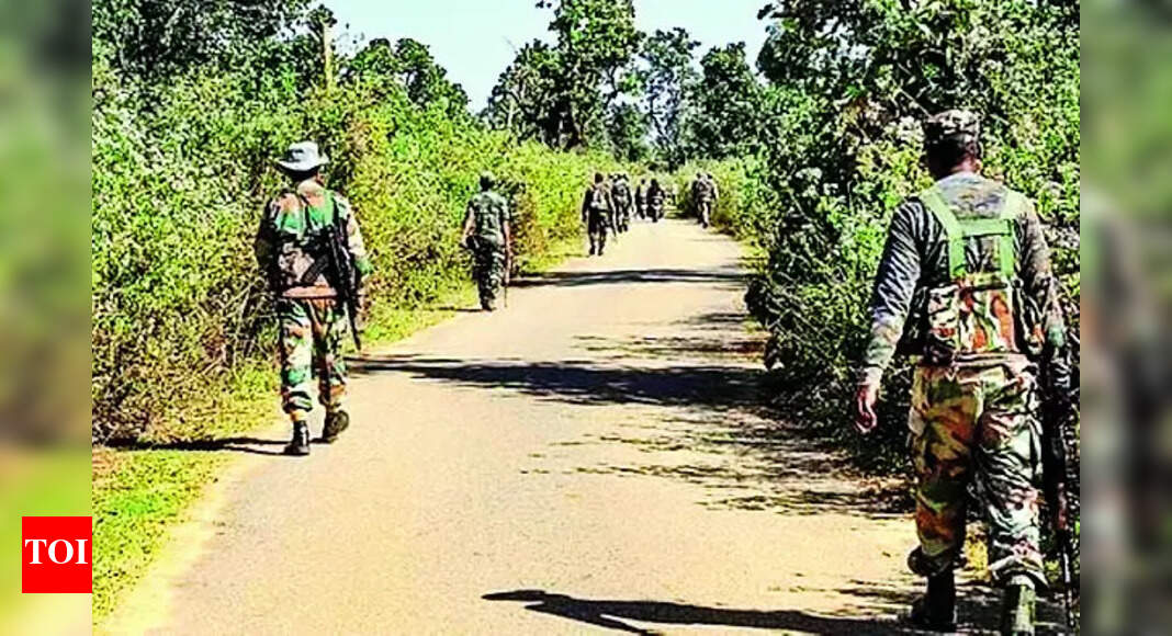 Op Vijay Bokaro: Encounter continues on day 2 of Op Vijay in Bokaro - Indian News Publication ...