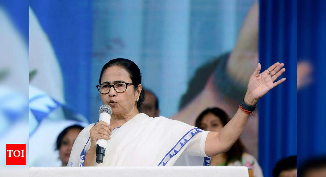 Mamata Banerjee Responds to BJP's Charges on Sandeshkhali Violence | India News - Times of India