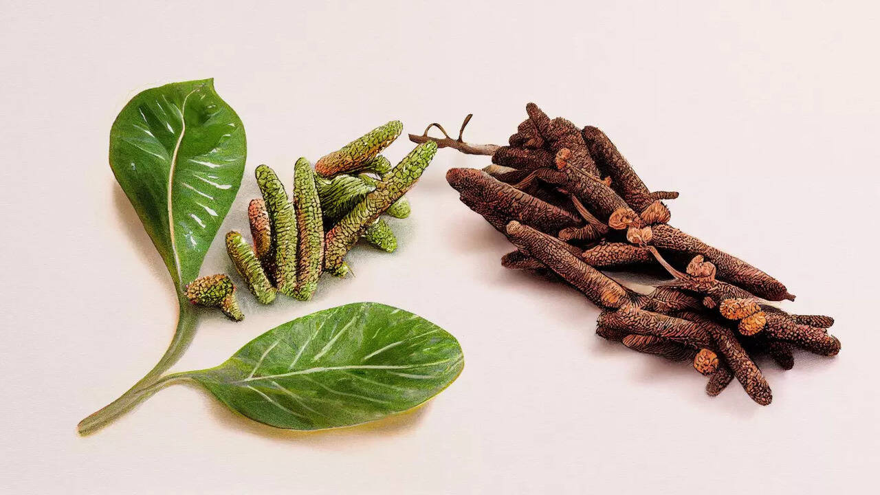 Pippali Power Unveiled: Nutritionists Decode Its Health Benefits