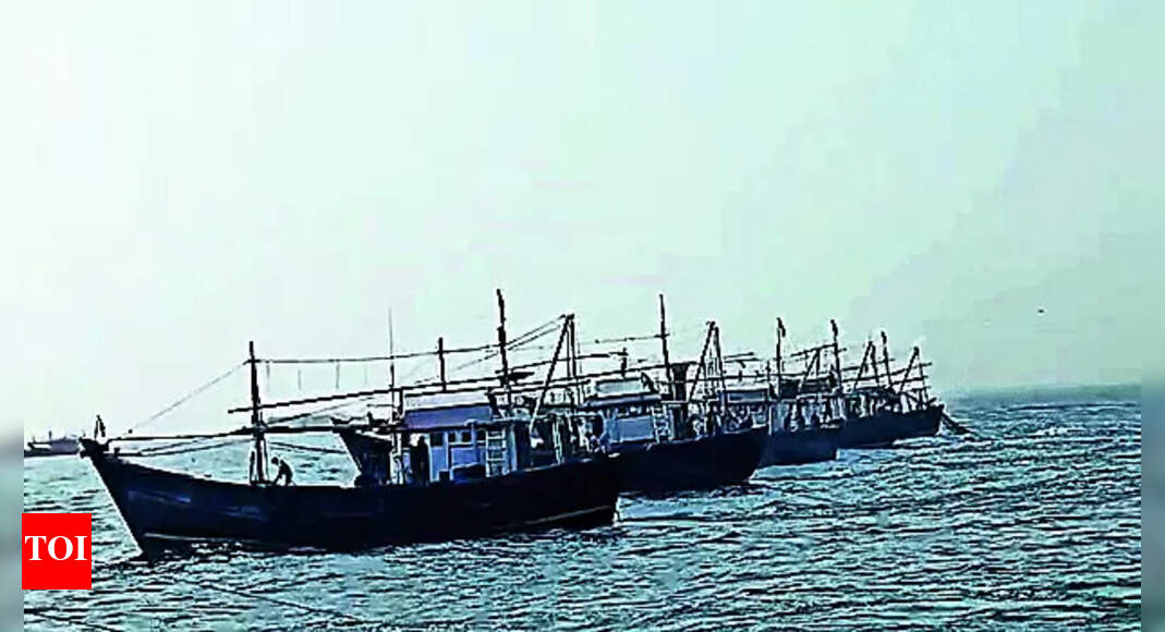 Gujarat Fishermen: Depletion of Marine Wealth: Concerns Over Maha ...