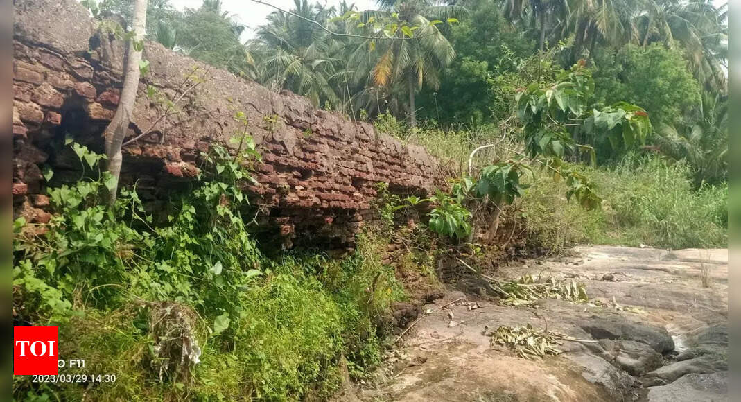 Remains of 1,000-year-old check dam found in Tamil Nadu | Chennai News ...
