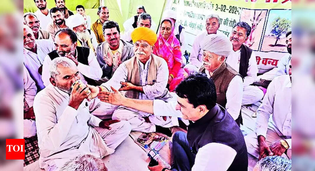 SIT: SIT to Probe Poaching Cases in Western Rajasthan, Bishnois End ...