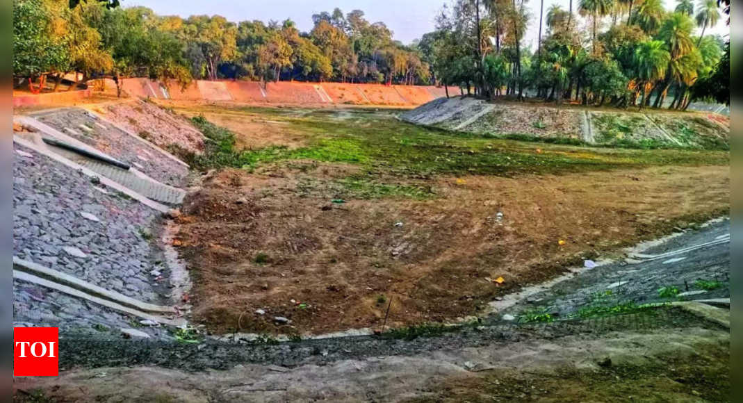 Revamped Delhi's Roshanara Bagh may be ready by February-end | Delhi ...