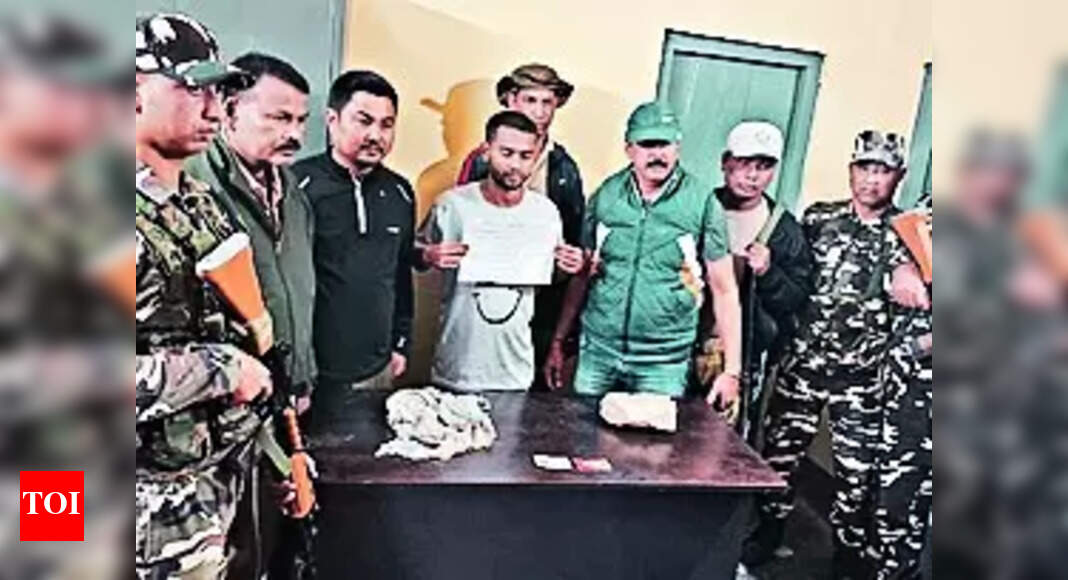 Poacher: Poacher held with 3.7kg elephant tusk - Latest News | Guwahati ...