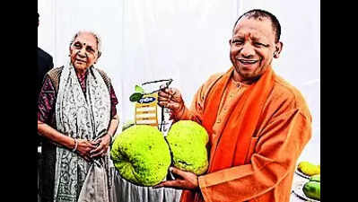 Double Engine Govt: Double engine govt a boon for farmers: CM Yogi Adityanath | Lucknow News ...
