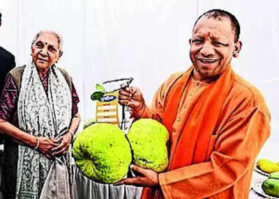 Double Engine Govt: Double engine govt a boon for farmers: CM Yogi Adityanath | Lucknow News ...