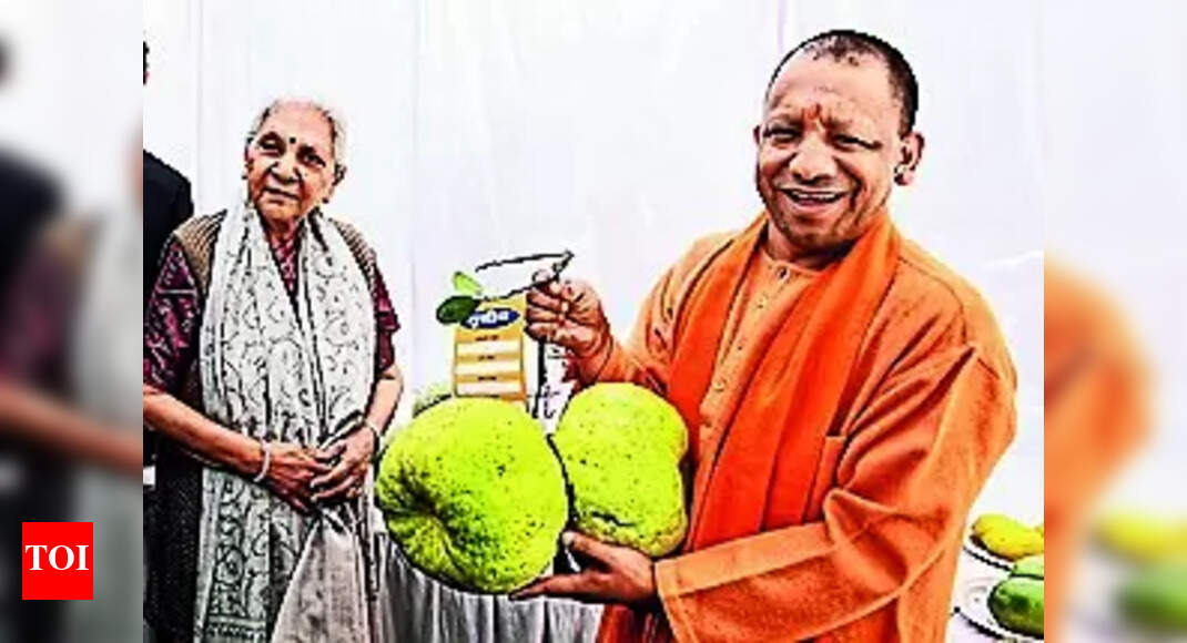 Double Engine Govt: Double engine govt a boon for farmers: CM Yogi Adityanath | Lucknow News ...
