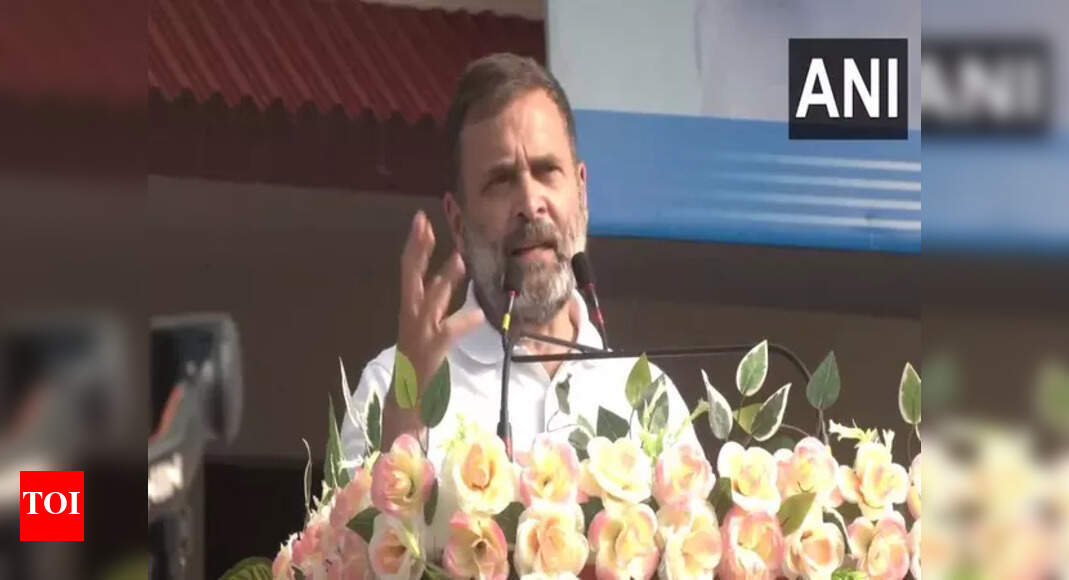 Rahul Gandhi to resume 'Bharat Jodo Nyay Yatra' from Prayagraj today | India News - Times of India