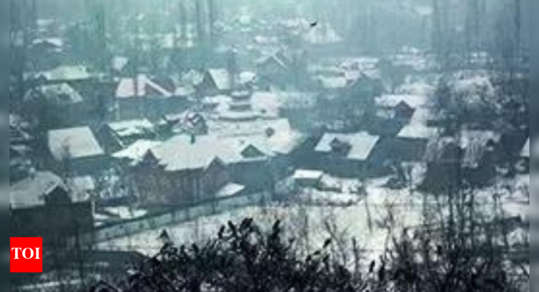Kashmir gets second snow spell this season | Srinagar News - Times of India