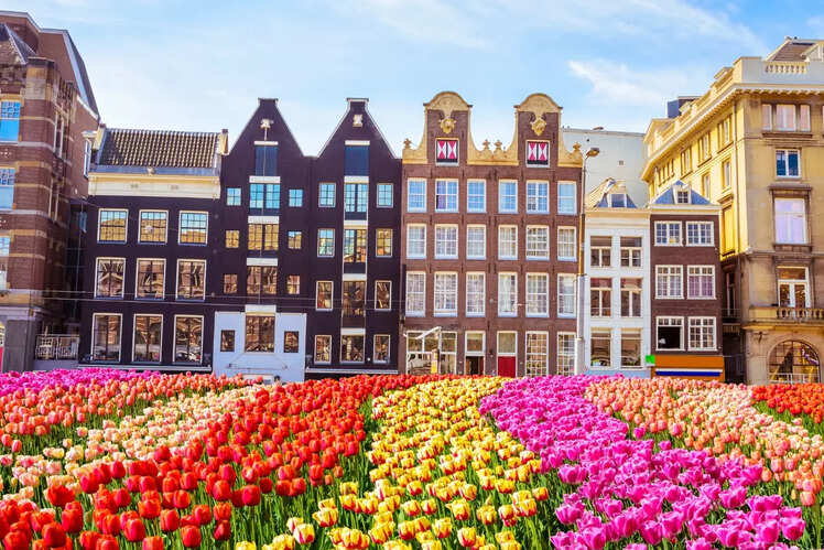 Spring Destinations: Picture-perfect spring destinations around the ...