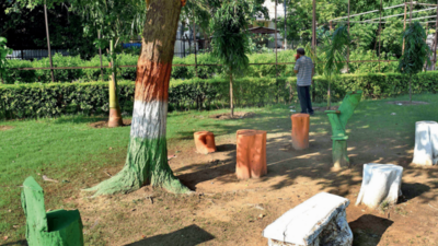 Delhi Tree Census: Only 27% of Wards Covered So Far, Mayor's Office ...