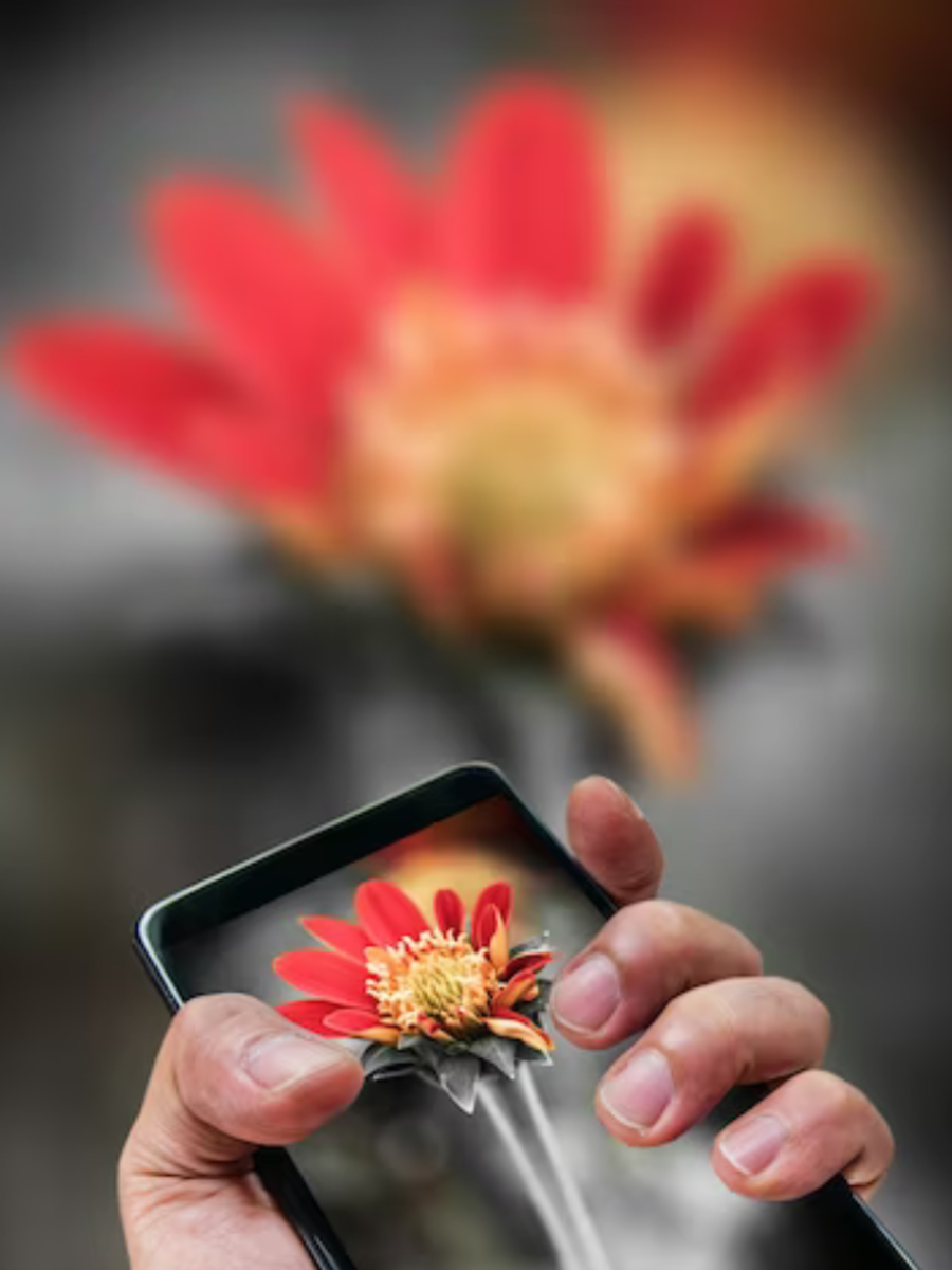 Top 9 Smartphone Apps to Try for Quality Photographs | Times Now