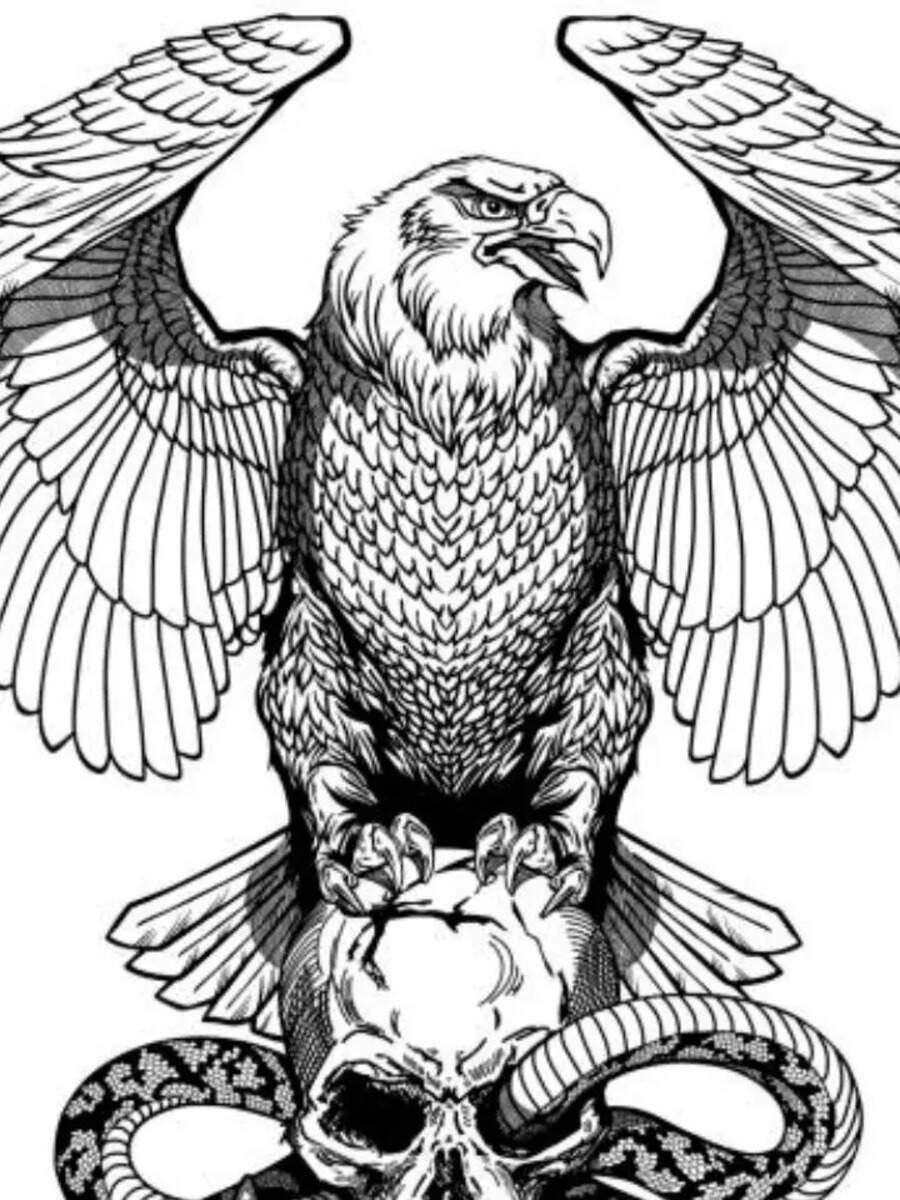 8 Birds that Eat Snake | Times Now