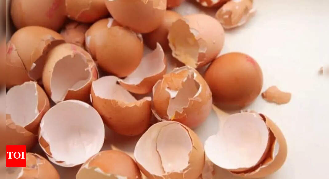 5 Brilliant Uses of Leftover Eggshells - Discover Creative Ways to ...