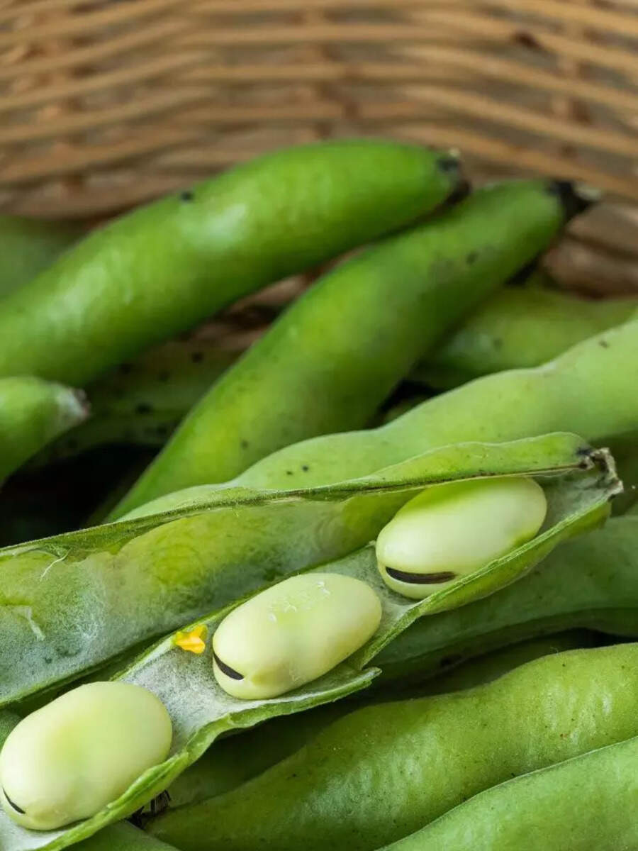What are faba beans and their benefits | Times of India