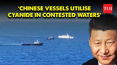 Toxic tides: 'Chinese fishing vessels pumping cyanide into contested ...