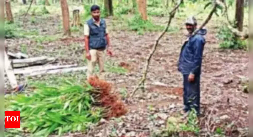 Forest officials write to PM Narendra Modi for recognition in national ...