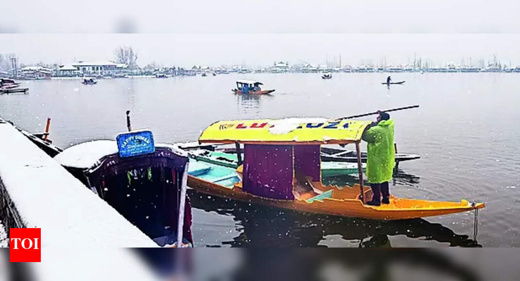 Srinagar: Srinagar City Receives Second Snowfall of Winter | Srinagar ...