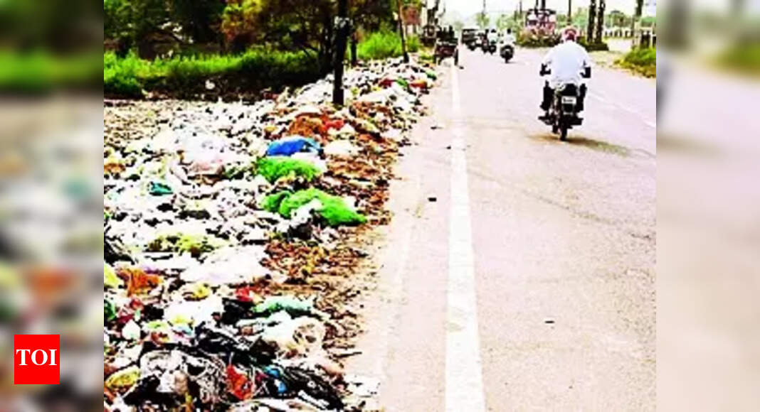 Waste-To-Energy Plant: Ludh MC Submits Proposal to PMIDC on Waste-to ...