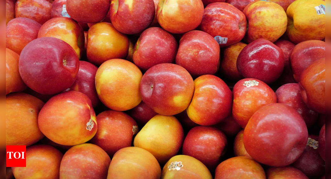 US Lawmaker and Apple Growers Celebrate Export of Apples to India ...